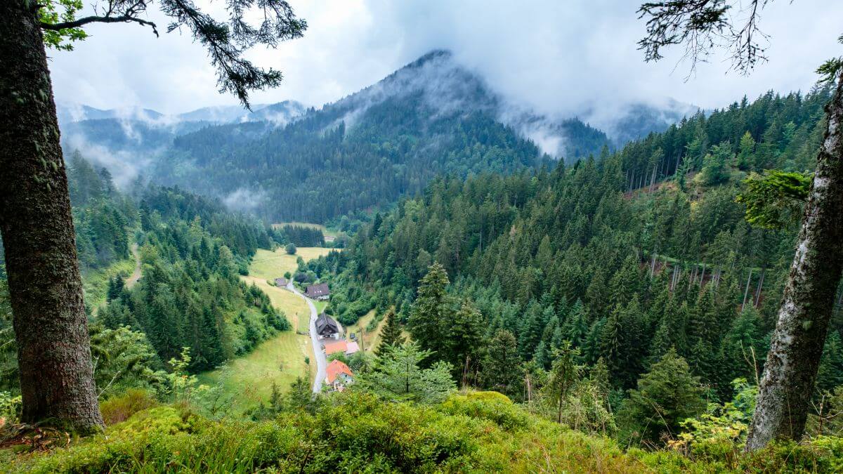 Schwarzwald – ciekawostki i atrakcje turystyczne