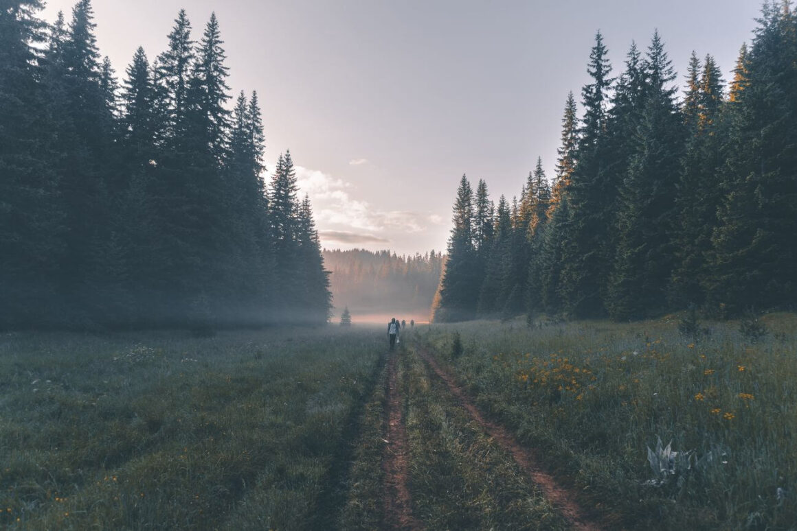 Rodopy w Bułgarii – przewodnik po atrakcjach i szlakach