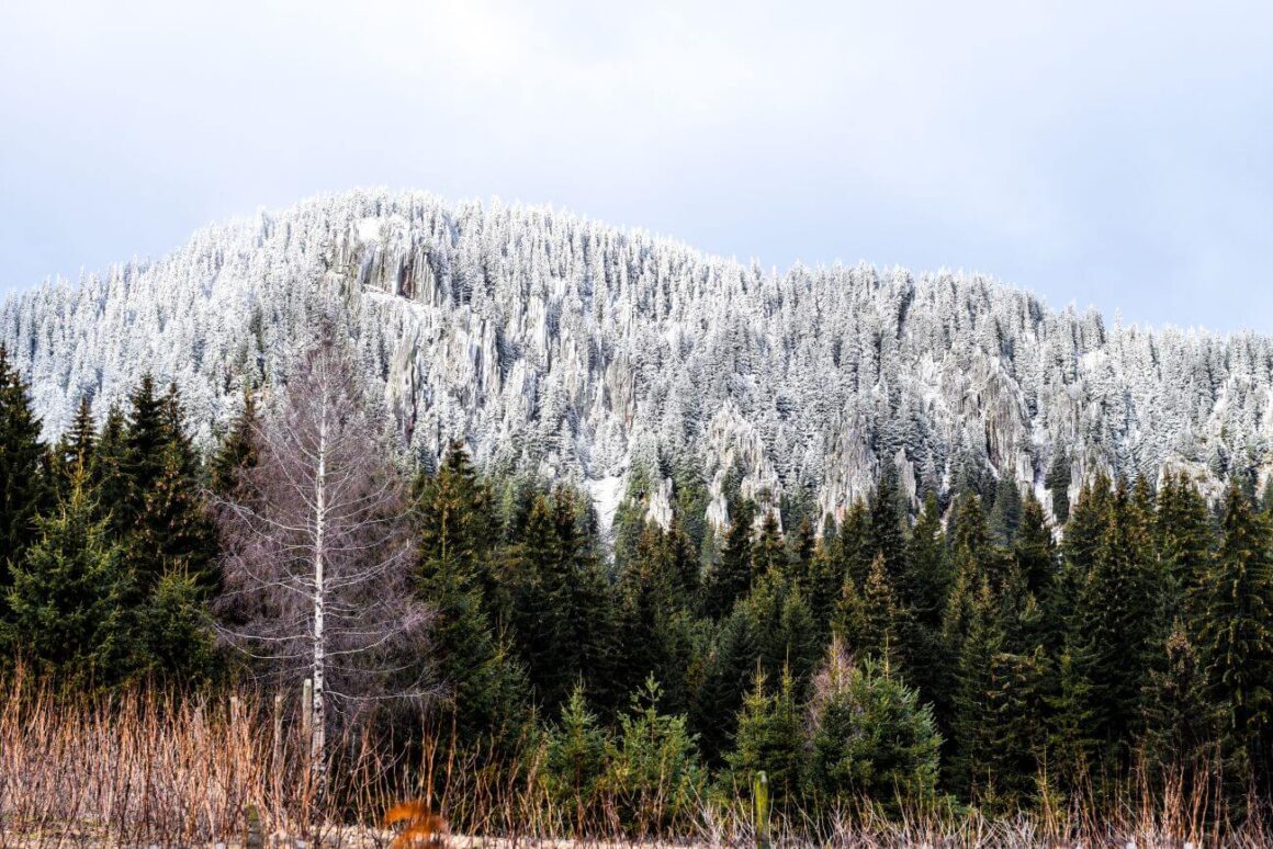 Rodopy w Bułgarii – przewodnik po atrakcjach i szlakach