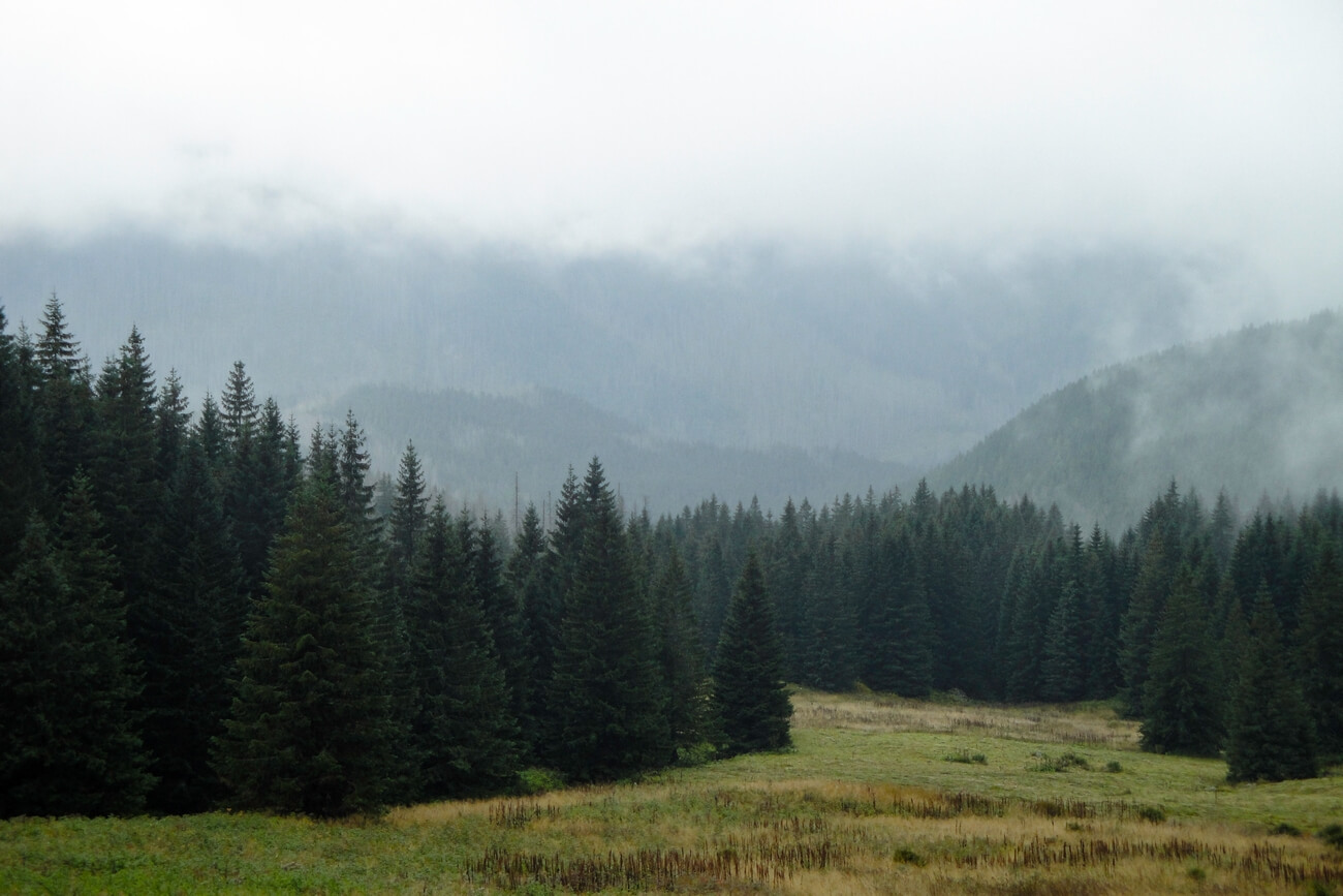 Dolina Lejowa w Tatrach. Opis szlaku turystycznego