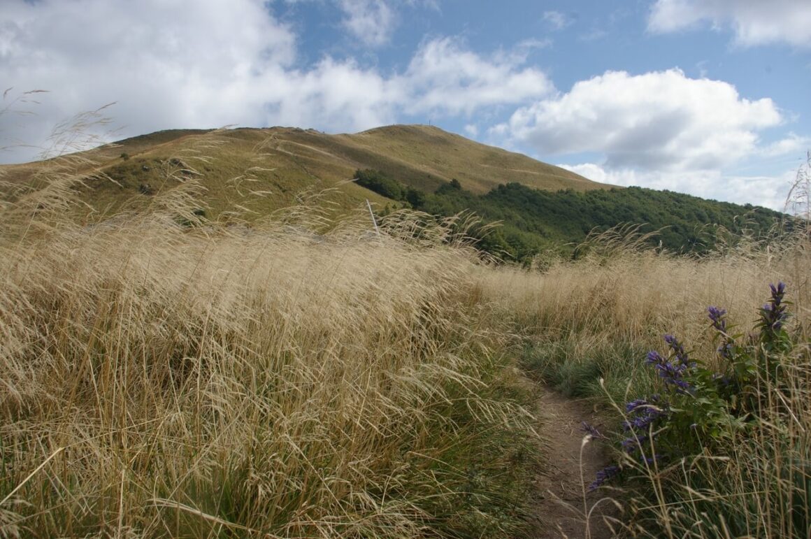 Smerek – tajemnice i uroki bieszczadzkiego szczytu