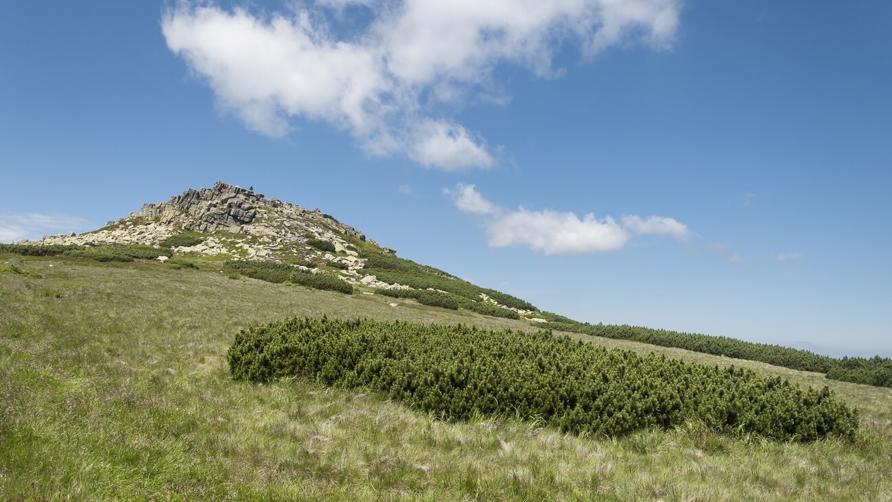 Łabski Szczyt – szlaki, roślinność, lokalizacja