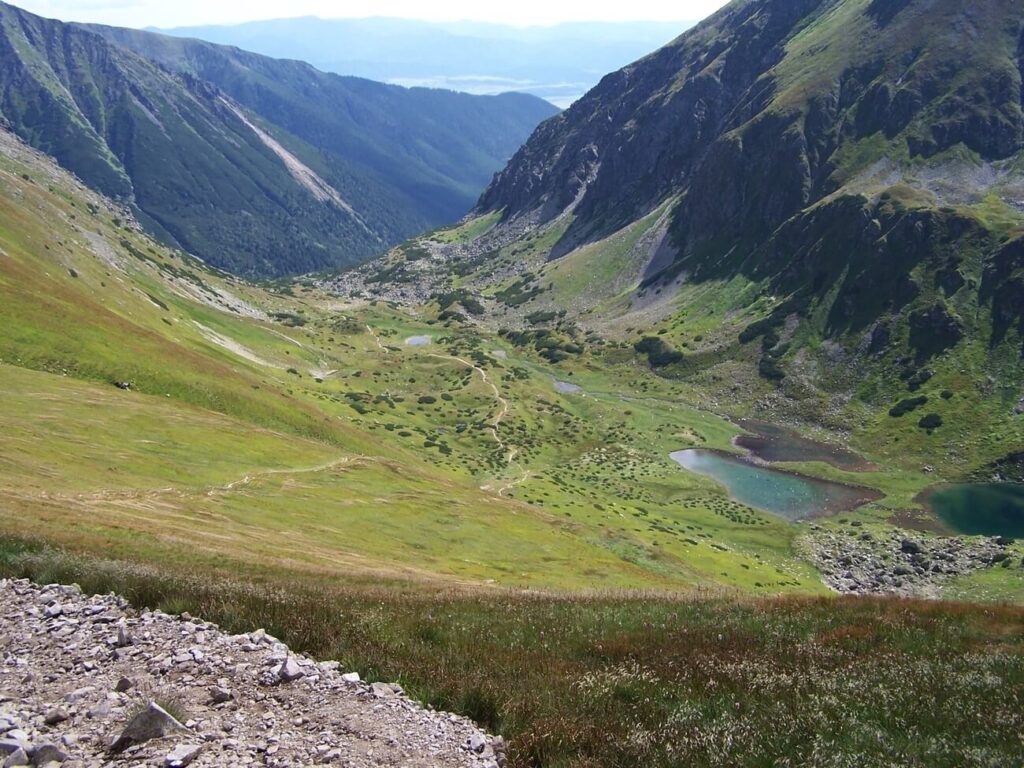 Dolina Rybiego Potoku – skarby tatrzańskiej natury