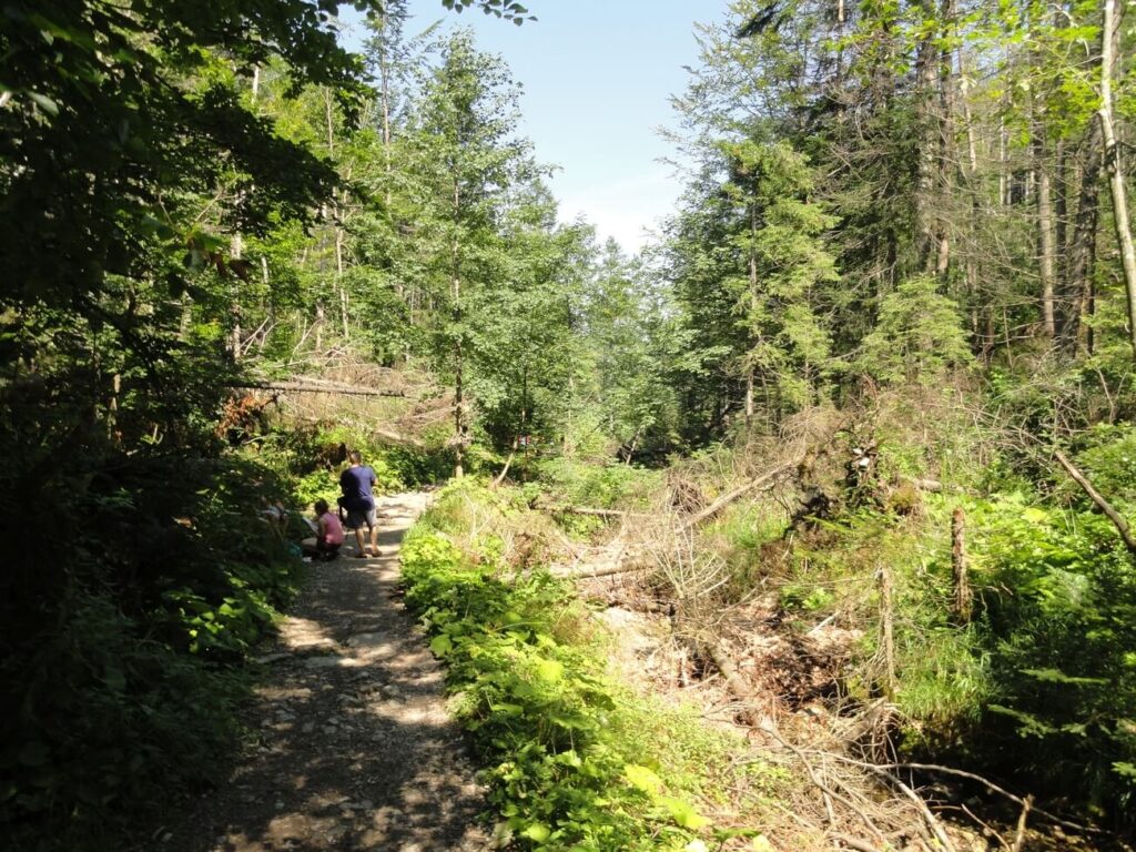 Koprowa Dolina – lokalizacja, szlaki, ciekawostki