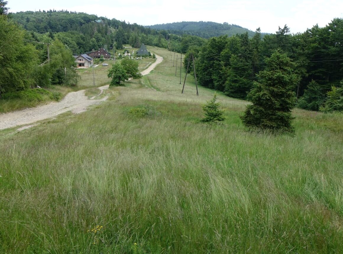 Błatnia – szlaki i informacje dla turystów