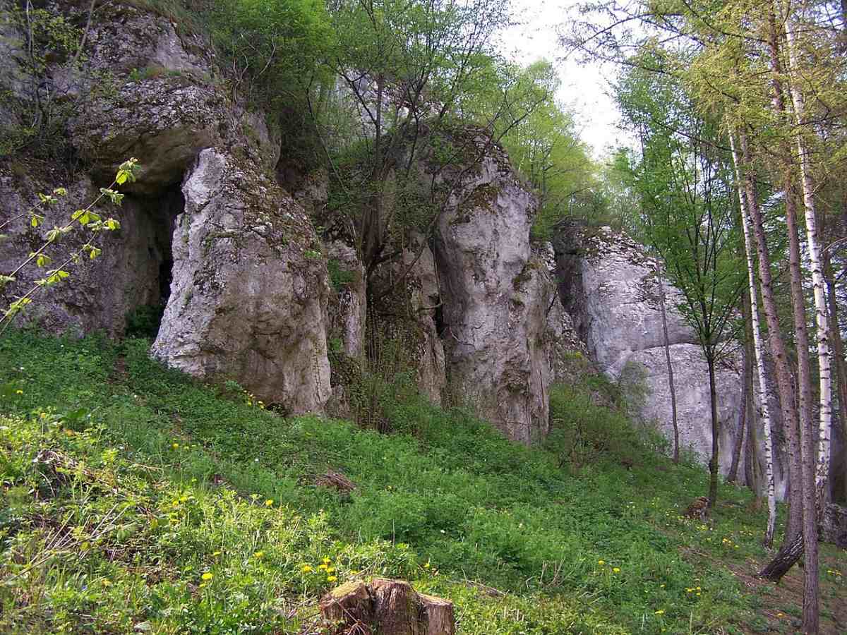 Dolina Staroleśna – piękno tatrzańskiej przyrody