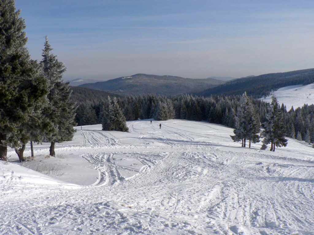 Łysica – najwyższy szczyt Gór Świętokrzyskich | Góry Aktywnie